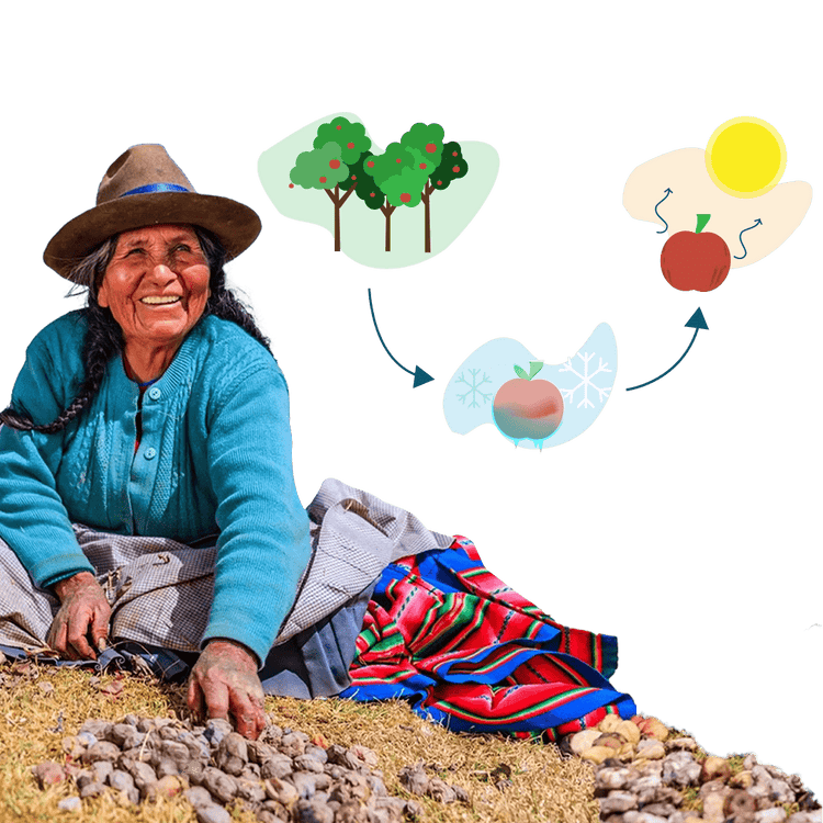 About – Instabites